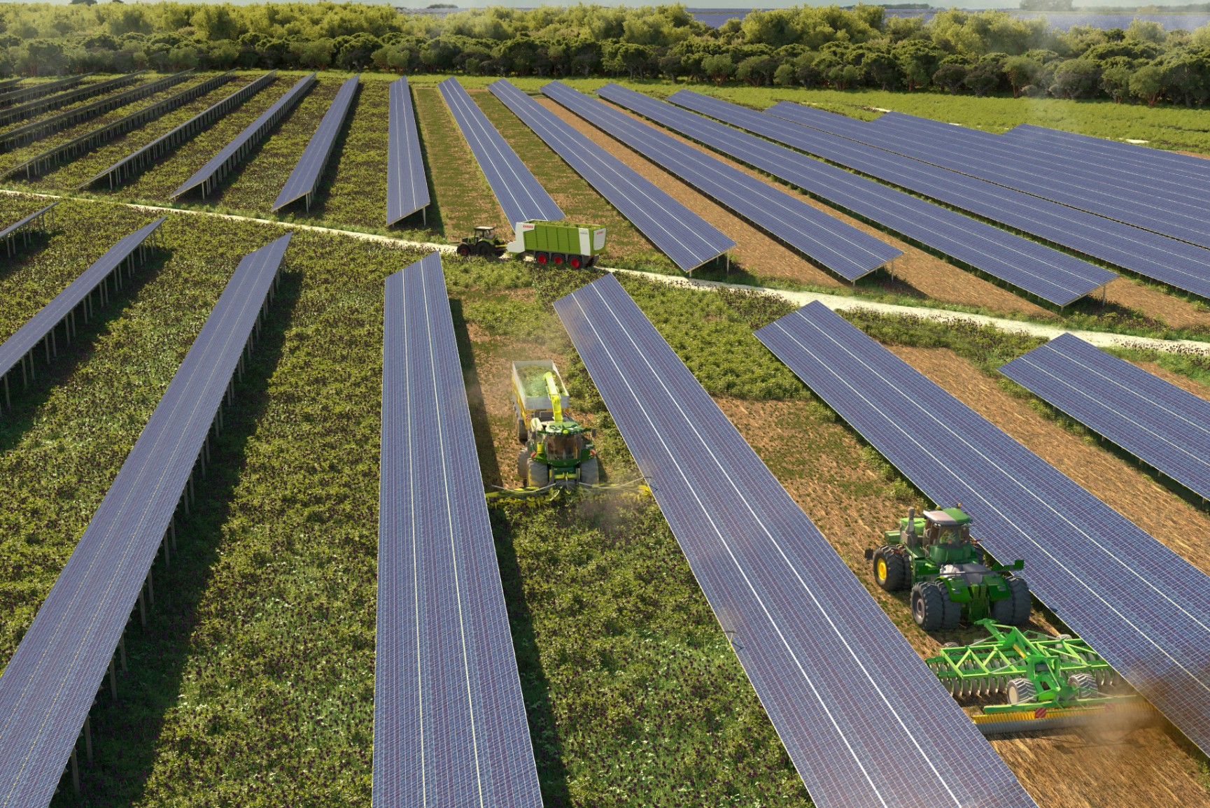 L’agrivoltaïsme au défi de l’agriculture | INES - Institut National de ...